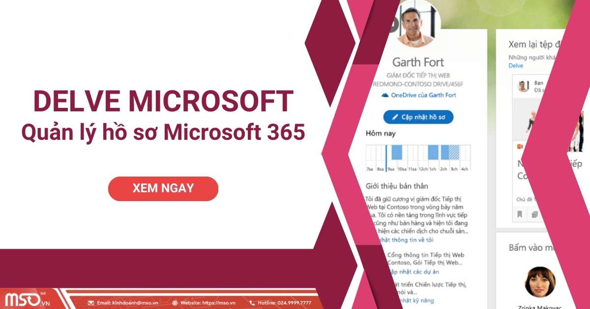 Delve Microsoft - Hệ thống quản lý hồ sơ Microsoft 365