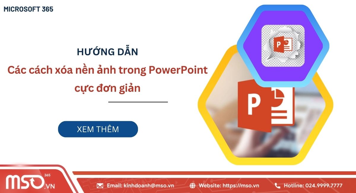 Các Cách Xóa Nền Ảnh Trong Powerpoint Cực Nhanh, Đơn Giản